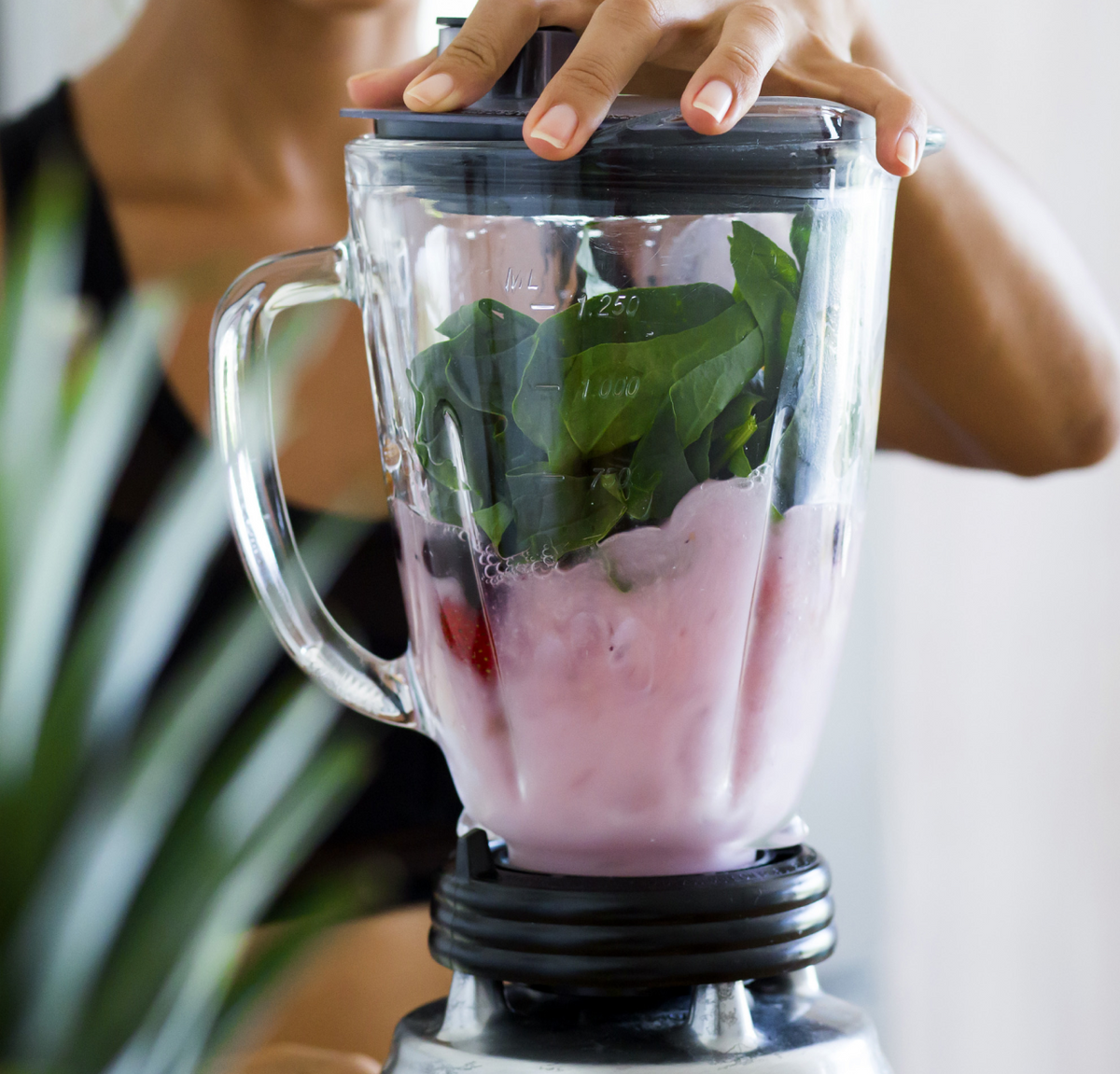 Recipes for Smoothies Step by Step Guide – LongevityBotanicals